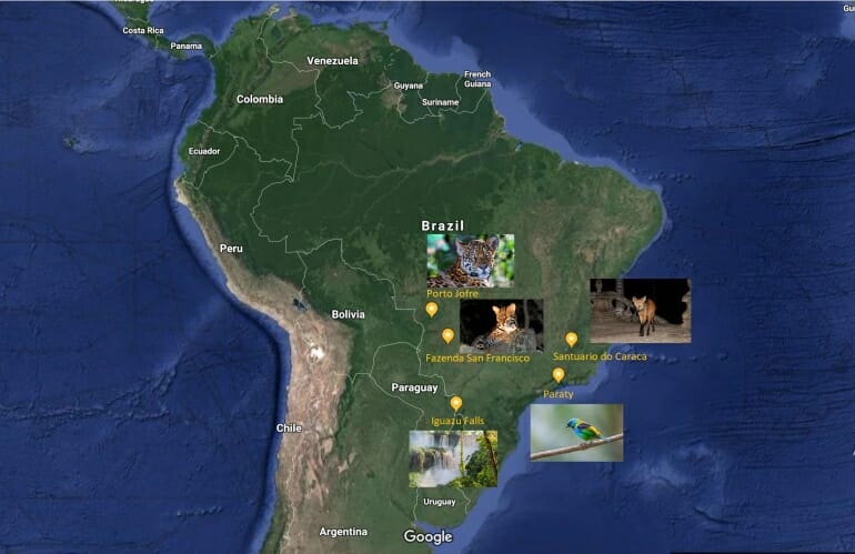 Brazil Wildlife Watching Itinerary: Birds, Wolves and Wild Cats