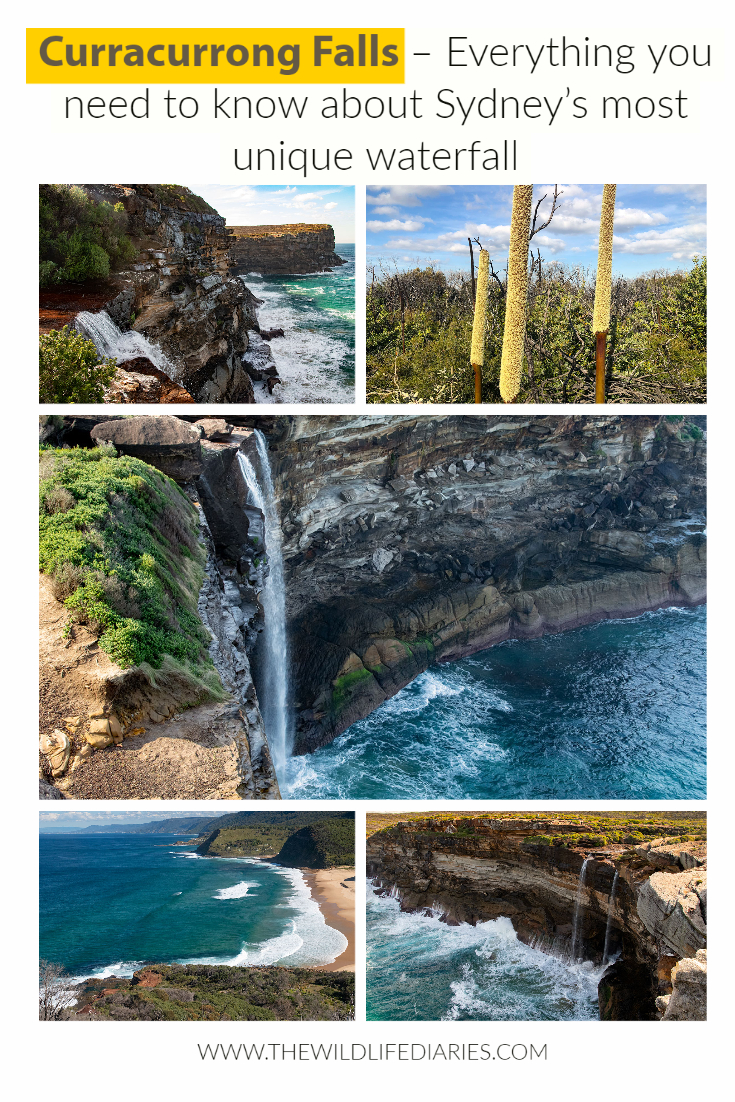 Garie Beach to Curracurrong Falls Walk & a Secret Viewpoint - The ...
