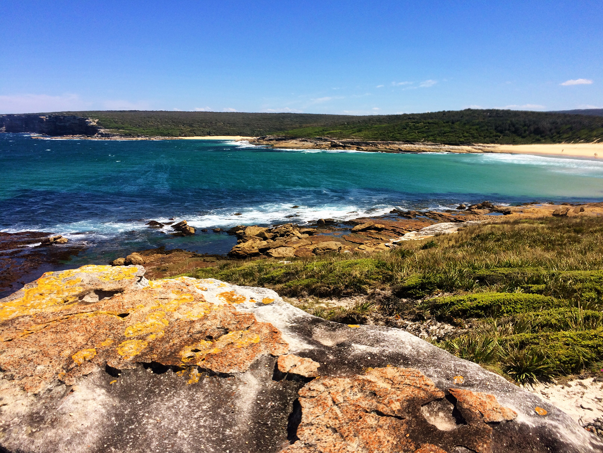 Hidden gems on Bundeena to Marley Beach walk, Royal National Park