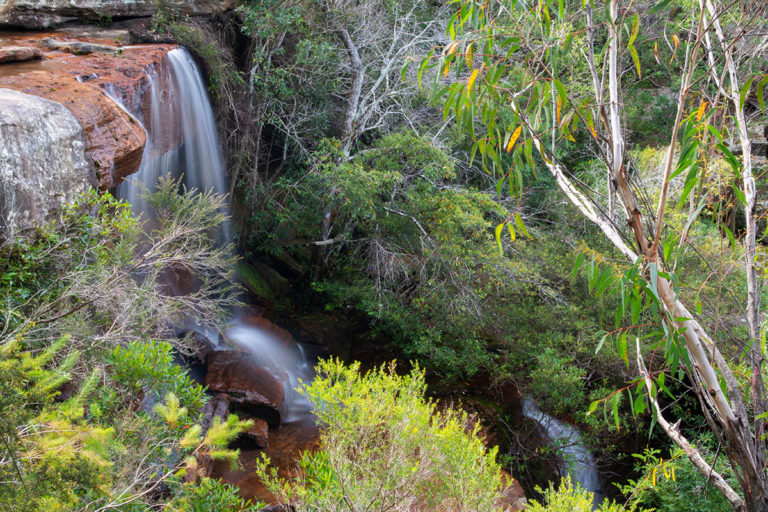 Secret swimming hole on Kangaroo Creek, Royal National Park
