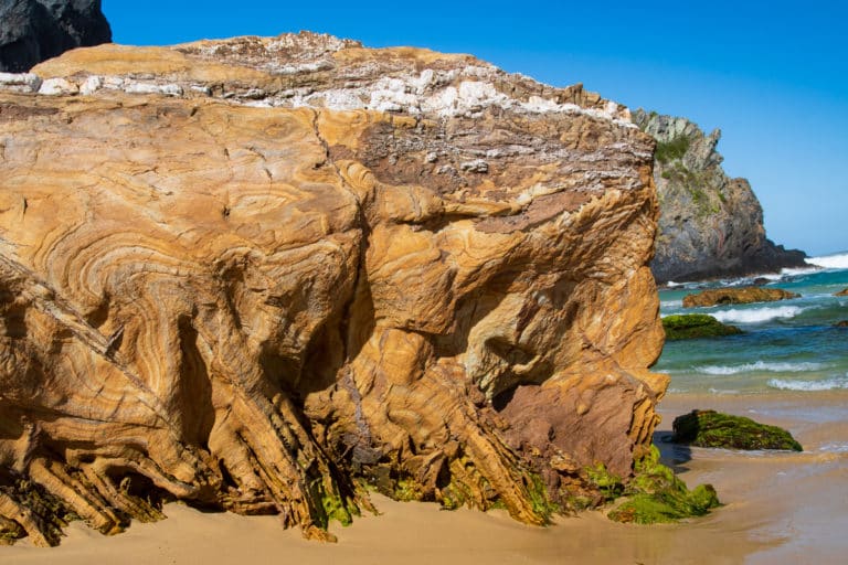 Unmissable Things to do in Narooma & the Surrounding Countryside