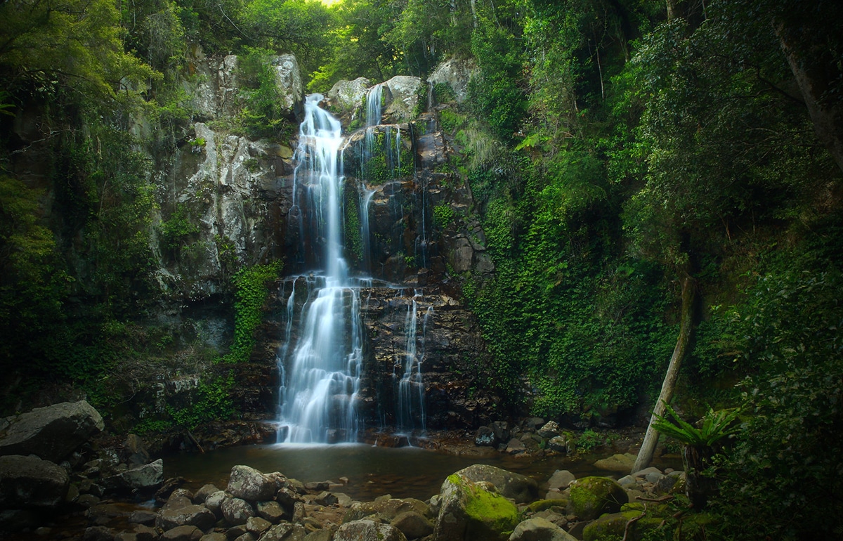 40 Fun Things to do in Kangaroo Valley