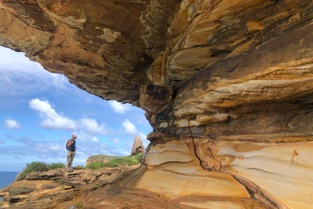 Amazing Birds and Waterfalls of Curra Moors Loop Track in Royal ...