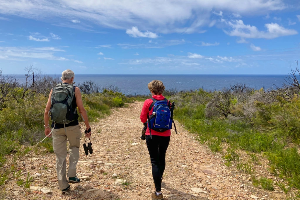 Amazing Birds and Waterfalls of Curra Moors Loop Track in Royal ...