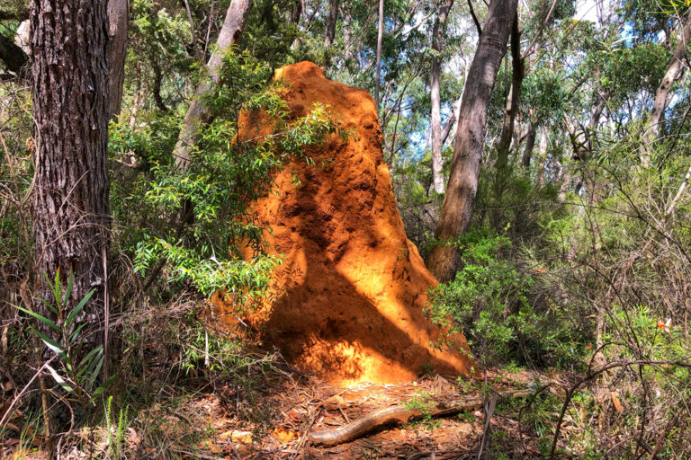 Exploring Walls Cave & Hidden Slot Canyon in Blackheath