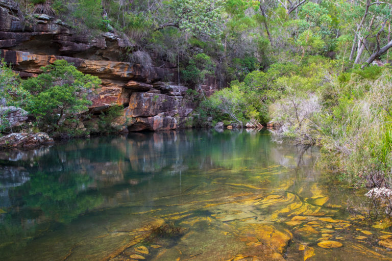 Secret swimming hole on Kangaroo Creek, Royal National Park