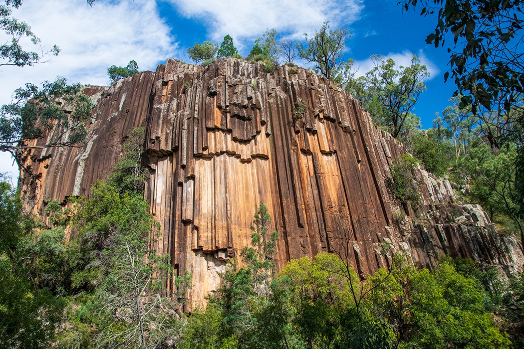 Exploring Pilliga Forest: Sandstone Caves and Sculptures in the Scrub