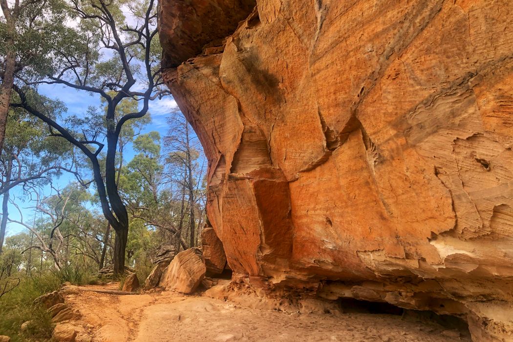 Exploring Pilliga Forest: Sandstone Caves and Sculptures in the Scrub