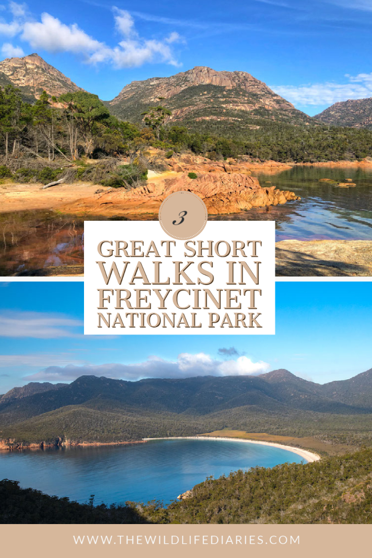 4 Great Short Walks in Freycinet National Park