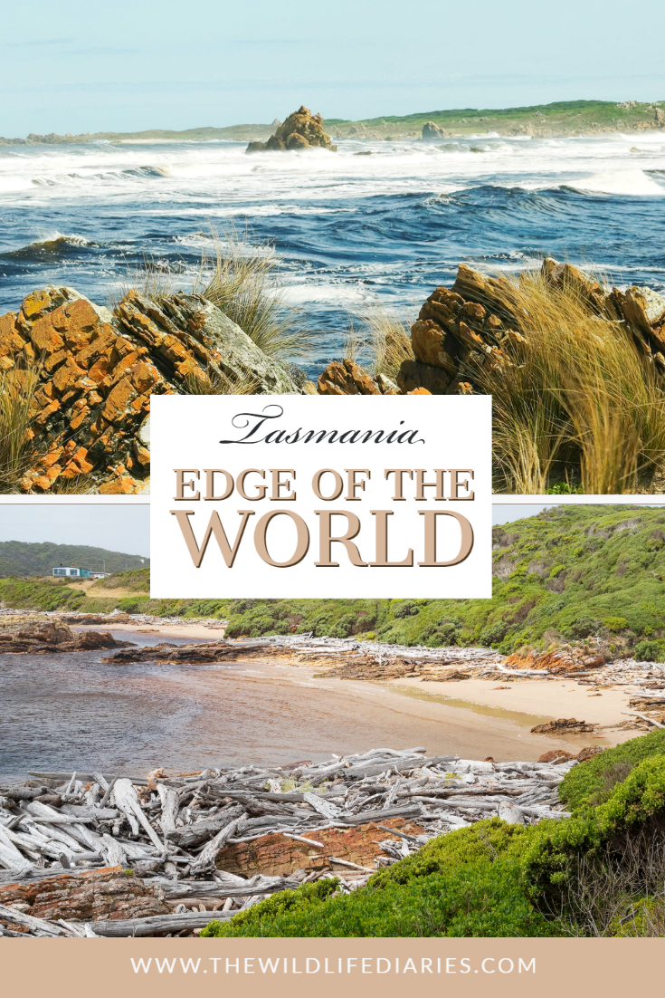 Travel Guide to Edge of the World, Tasmania