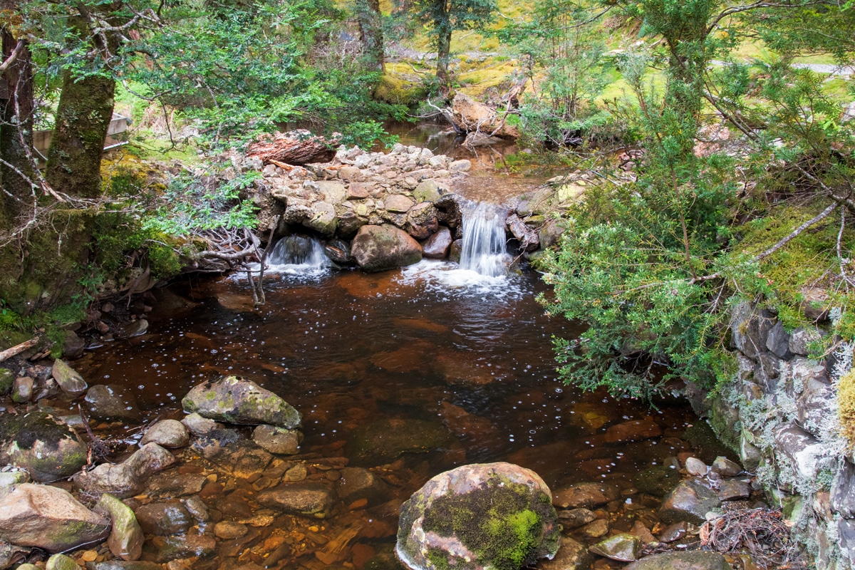 Complete Guide to Things to do in Cradle Mountain: Walks, Wildlife ...