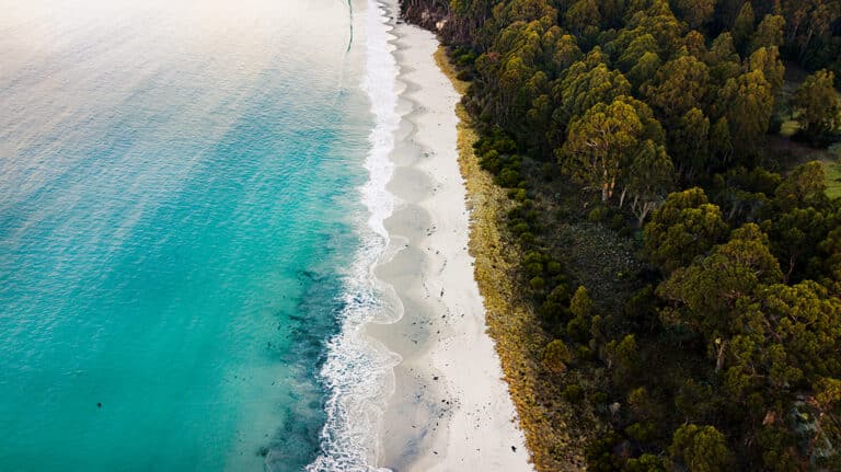 Things to Do on Bruny Island: Guide to Itinerary Planning