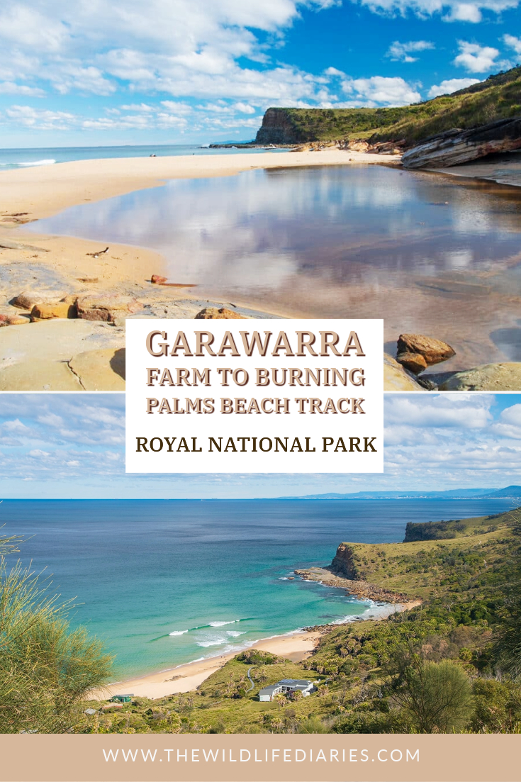 Garawarra Farm Carpark to Burning Palms Beach Track