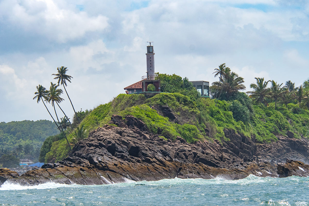 Best Ethical Whale Watching in Mirissa: Tour Review