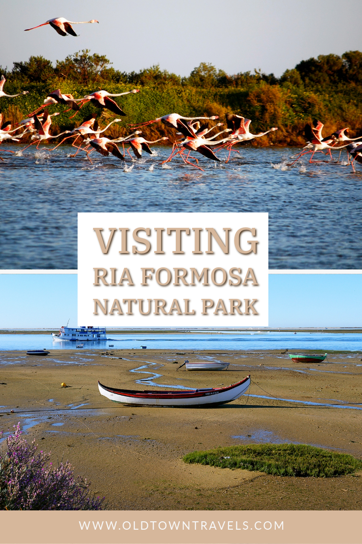 Exploring Ria Formosa Natural Park - Wild Beauty of Algarve