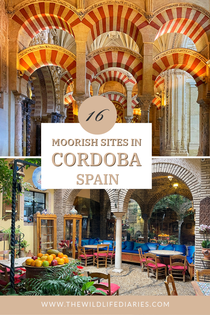 Discover Moorish Cordoba in 16 Monuments
