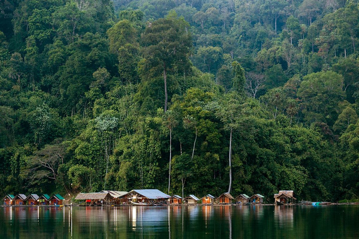 Practical Guide to Khao Sok National Park: How to Visit & What to See