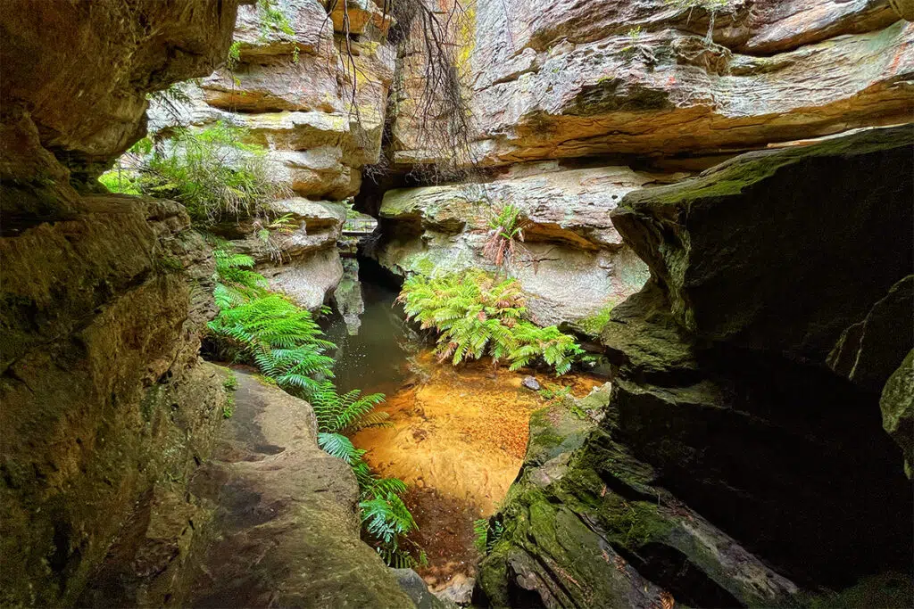 Exploring Walls Cave & Hidden Slot Canyon in Blackheath